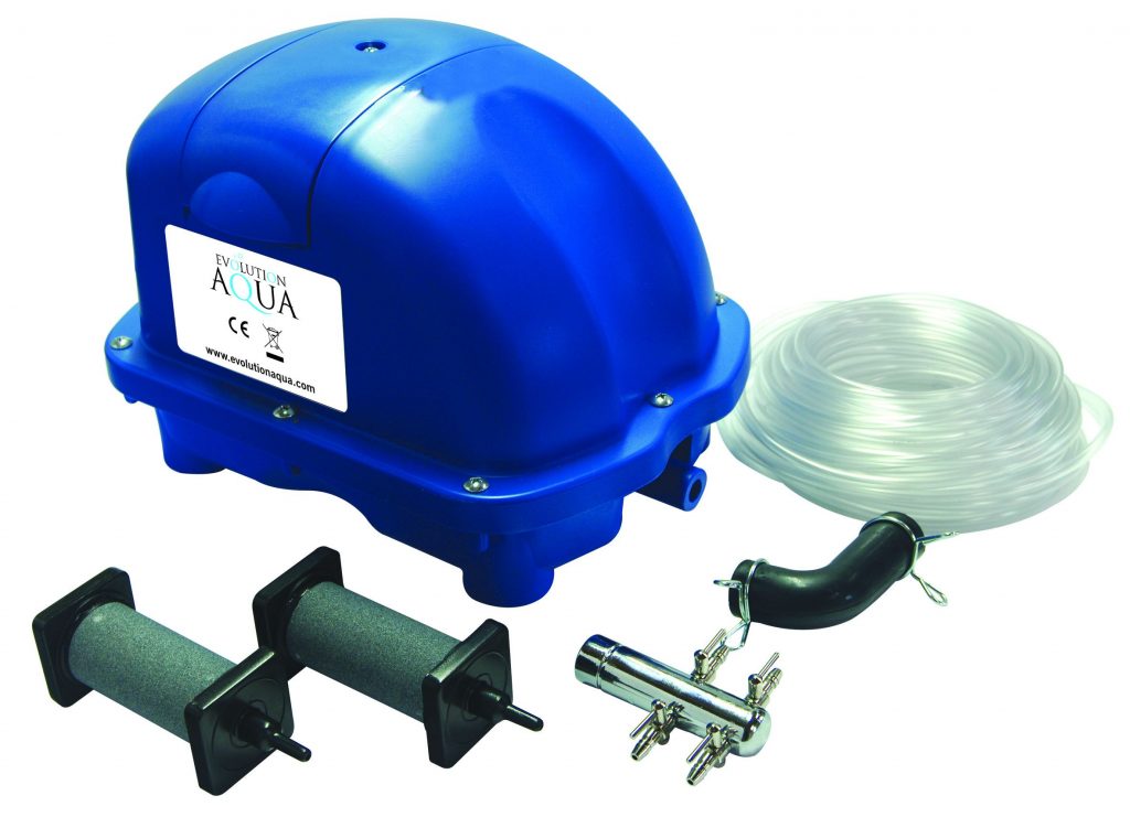 Why You Should Use A Pond Aeration System | Everything Koi