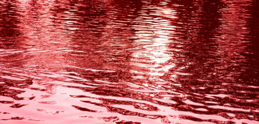 Help! My Pond Color Is Turning Red! | Everything Koi